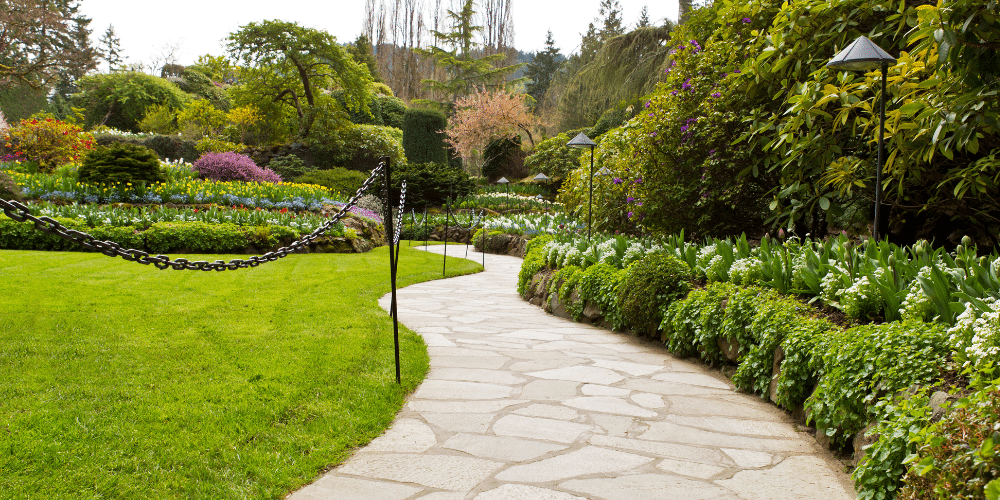Guide: 10 Essential Steps to Restore Your Garden After Heavy Rain ...